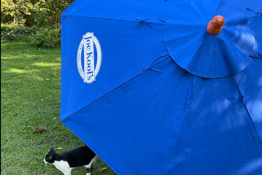 Custom Promotional Umbrellas | Chiang Mai Umbrellas